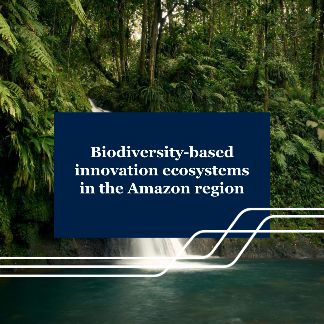 Biodiversity-based innovation ecosystems in the Amazon region – TIDE Centre